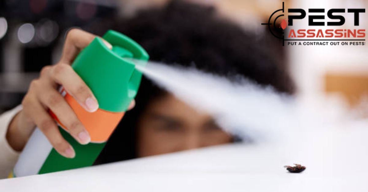 The Hidden Dangers of DIY Pest Control